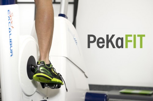 Komplexe Leistungsdiagnostik, Laktattest, VO2 Max Test - PeKaFIT ...